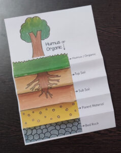 DIY - Layers of Soil Template - Your Home Teacher
